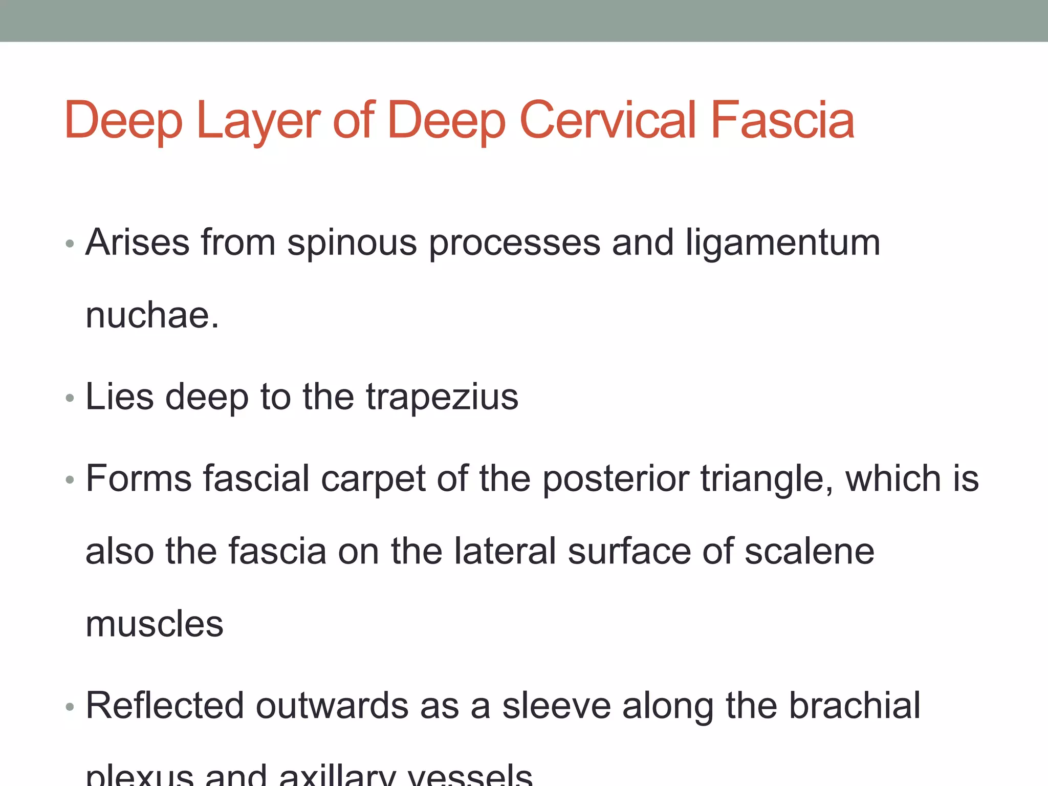 Deep neck spaces and surgical anatomy | PPTX