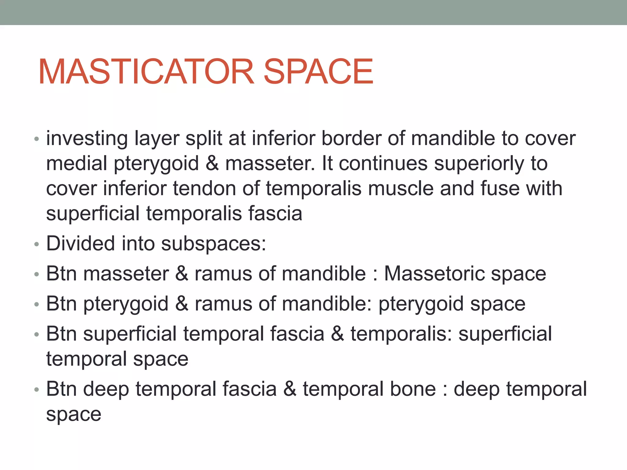 Deep neck spaces and surgical anatomy | PPTX