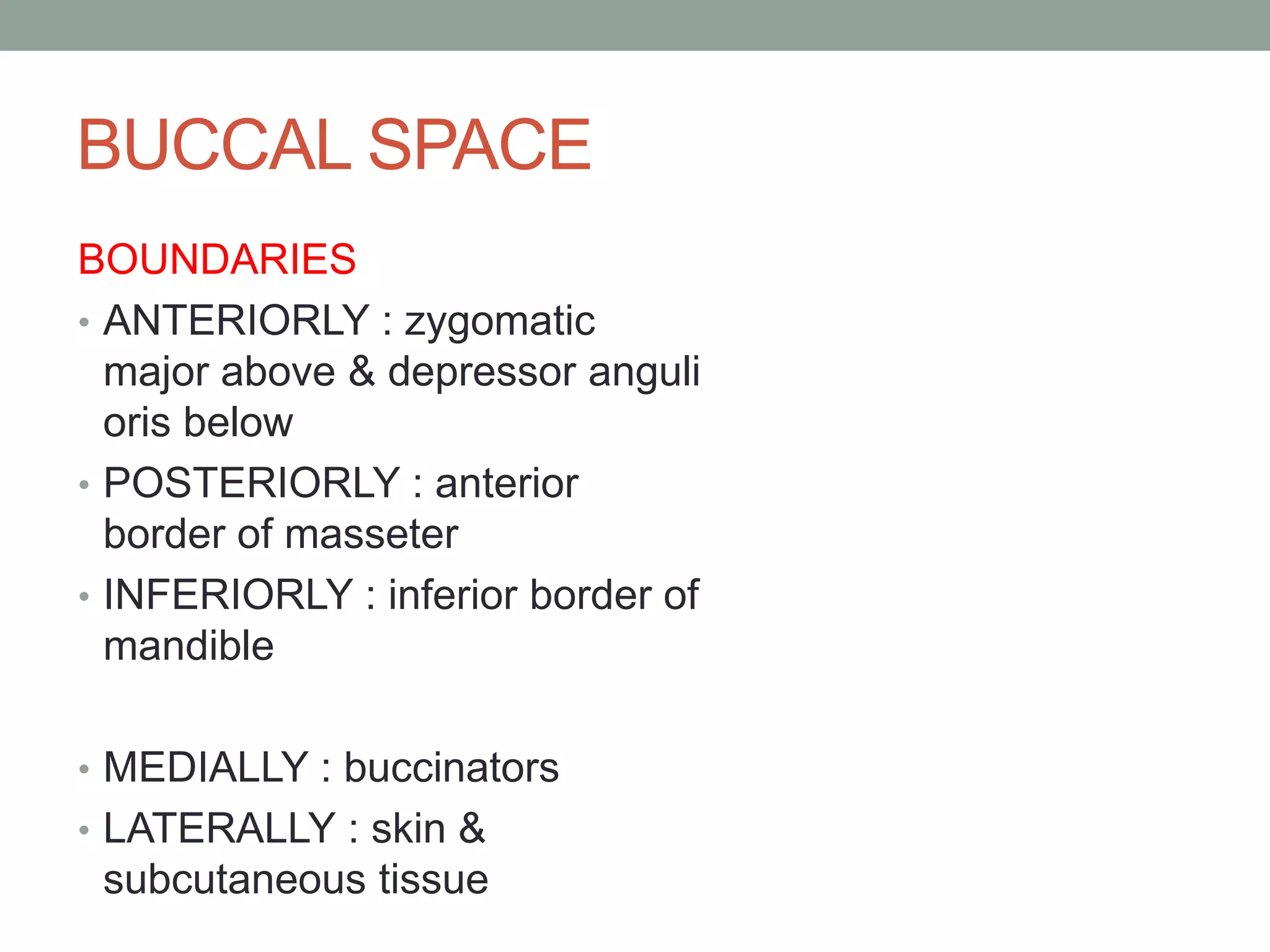 Deep neck spaces and surgical anatomy | PPTX