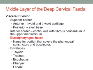 Deep neck spaces and surgical anatomy | PPTX