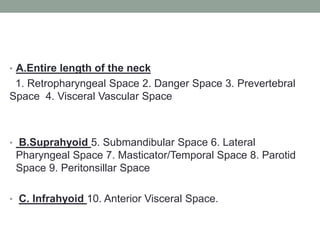 Deep neck spaces and surgical anatomy | PPTX
