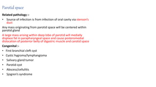 DEEP NECK SPACES.pptx