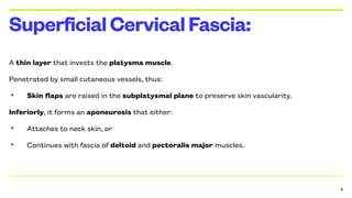 Deep Neck Spaces and Neck Infection & Abscess.pdf
