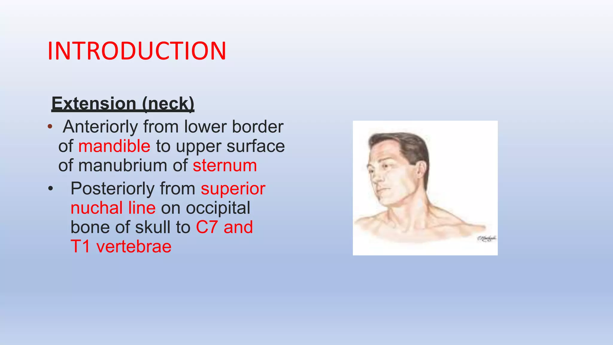 DEEP NECK SPACES ANATOMY.pptx