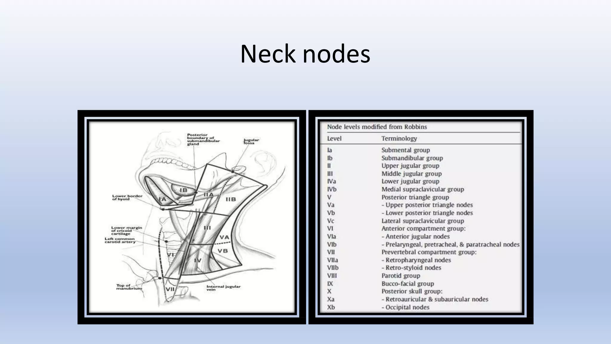 DEEP NECK SPACES ANATOMY.pptx