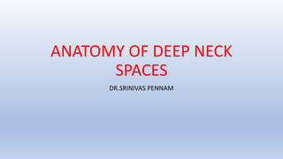 DEEP NECK SPACES ANATOMY.pptx