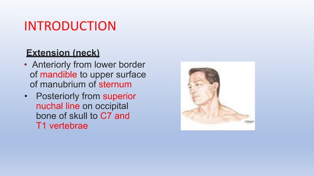 DEEP NECK SPACES ANATOMY.pptx