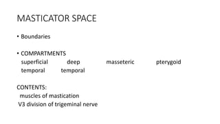 Deep neck spaces anatomy and applied aspects | PPT