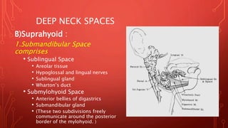 Deep neck spaces and infection ENT | PPTX