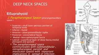 Deep neck spaces and infection ENT | PPTX