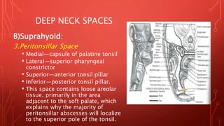 Deep neck spaces and infection ENT | PPTX