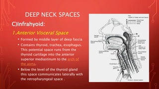 Deep neck spaces and infection ENT | PPTX