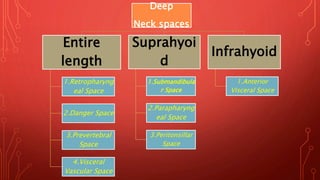 Deep neck spaces and infection ENT | PPTX