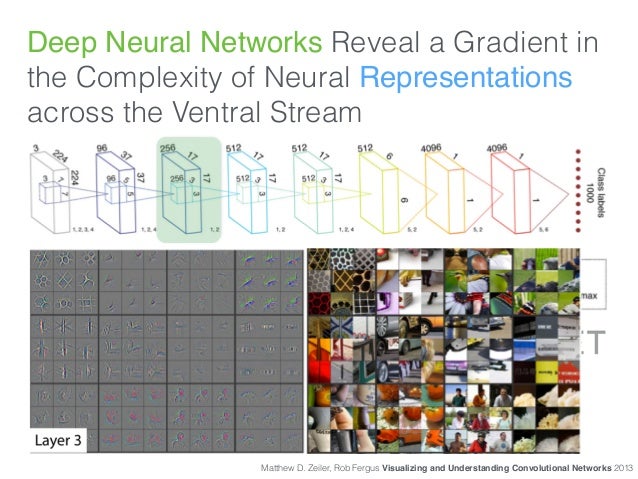 Article overview: Deep Neural Networks Reveal a Gradient in the Compl…