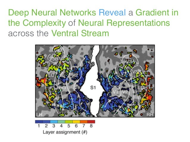 Article overview: Deep Neural Networks Reveal a Gradient in the Compl…
