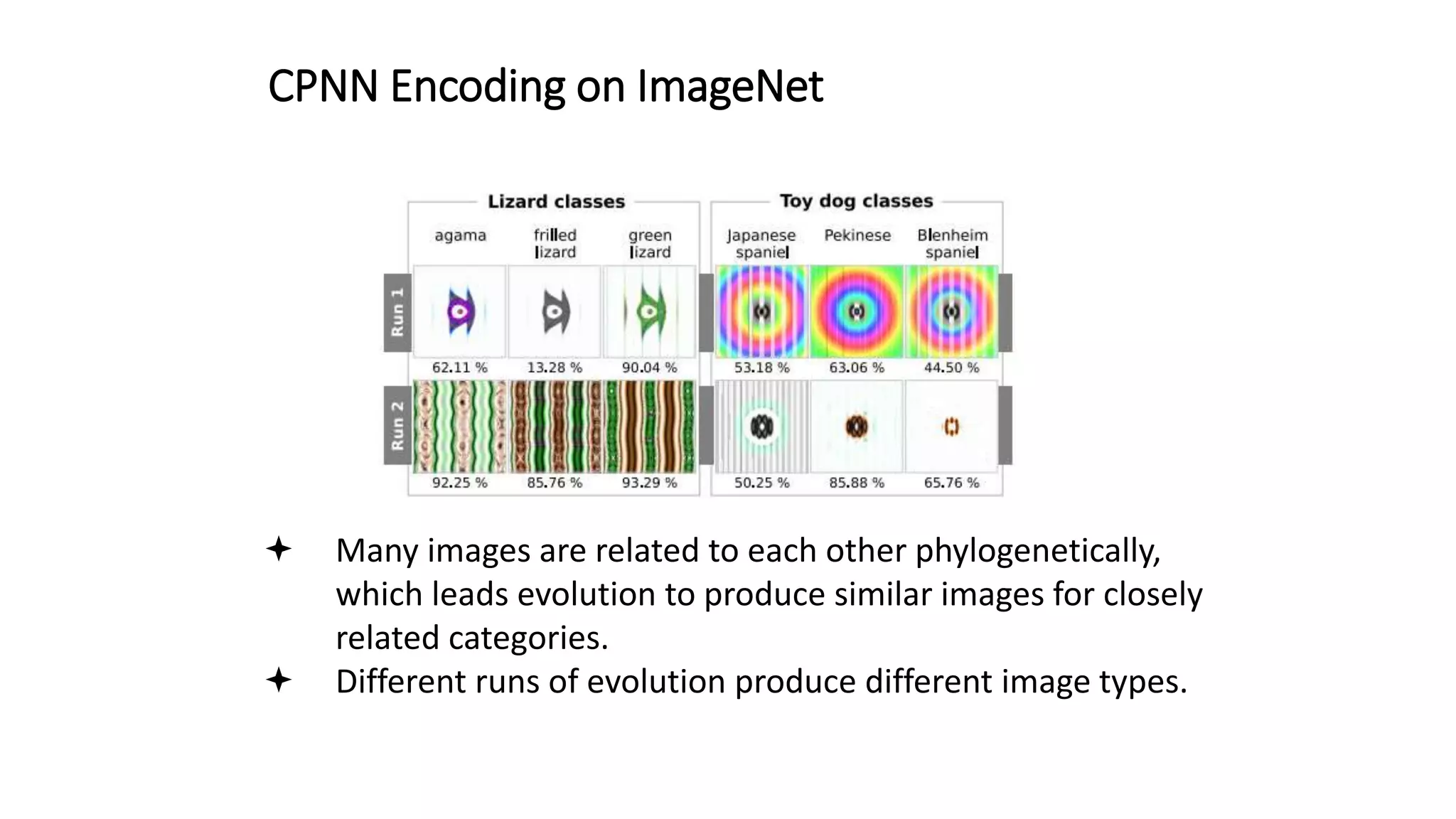 Deep Neural Networks Are Easily Fooled.pptx