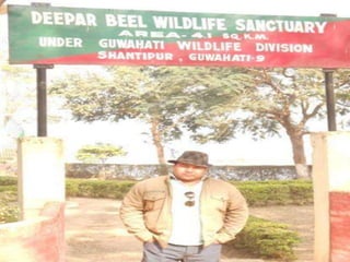 Deepar Beel; A Ramsar Designated Wetland under Precarious state of ...