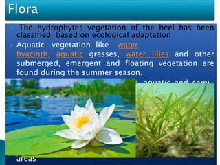 Deepor beel | PPTX | Zoos & Aquariums | Attractions