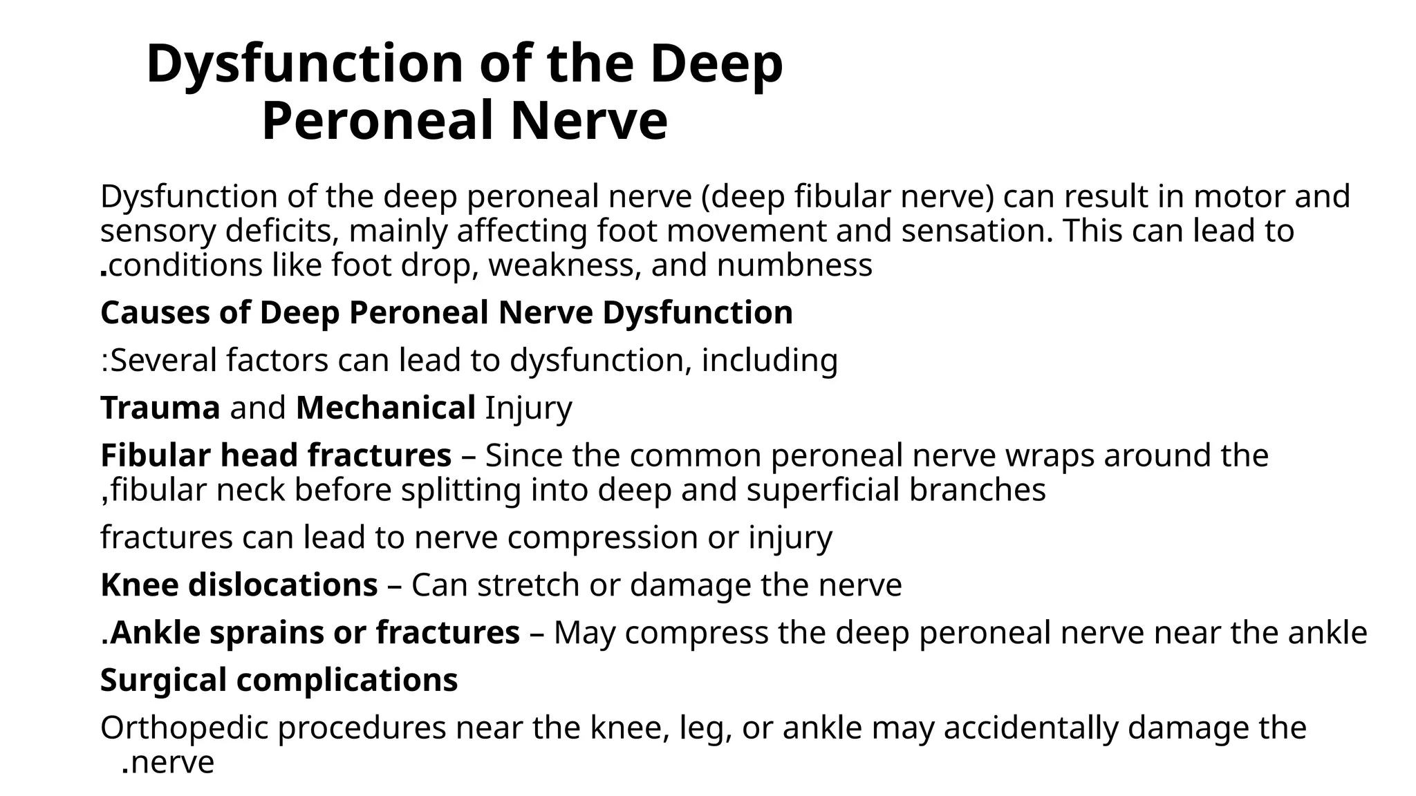 deep peroneal nerve.pptx777777777777777777 | PPTX