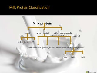 Estimation of milk protein | PPT