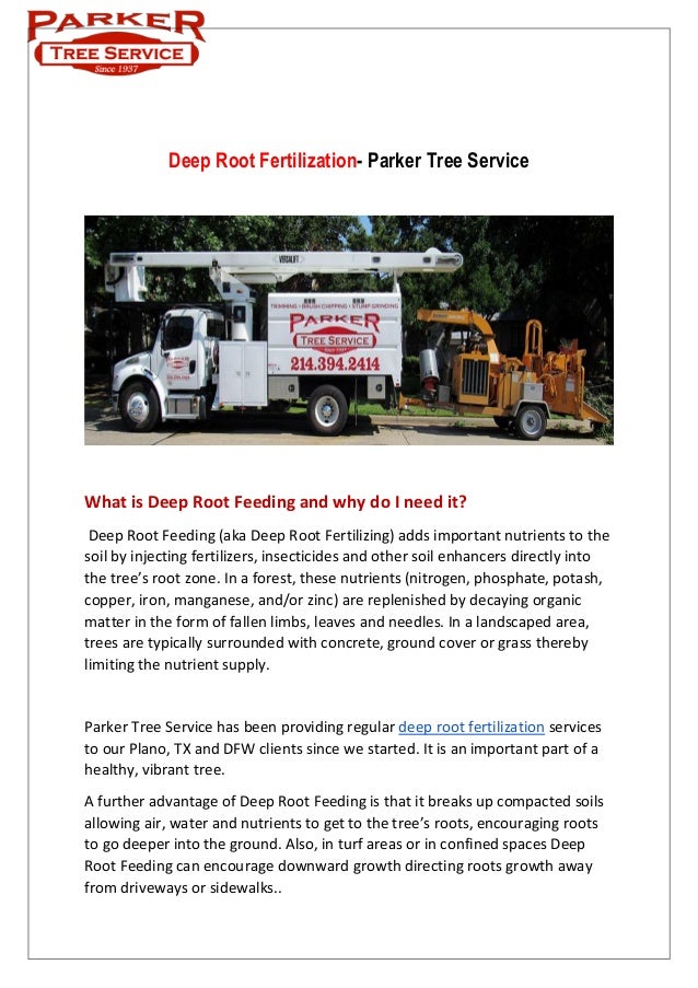 Deep Root Fertilization | PDF