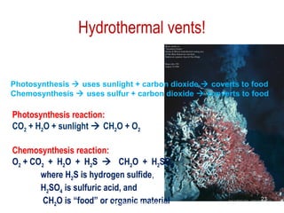 Deep sea adaptations | PPT