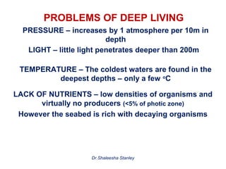 Deep sea adaptations | PPT