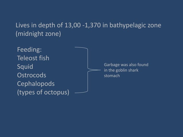 Deep sea creature | PPTX | Fish and Aquariums | Pets