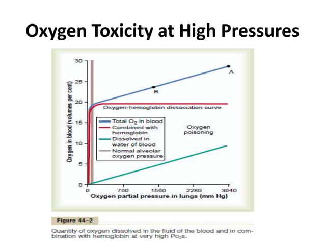 Deep sea diving and cassions disease.pptx | Scuba Diving | Extreme Sports