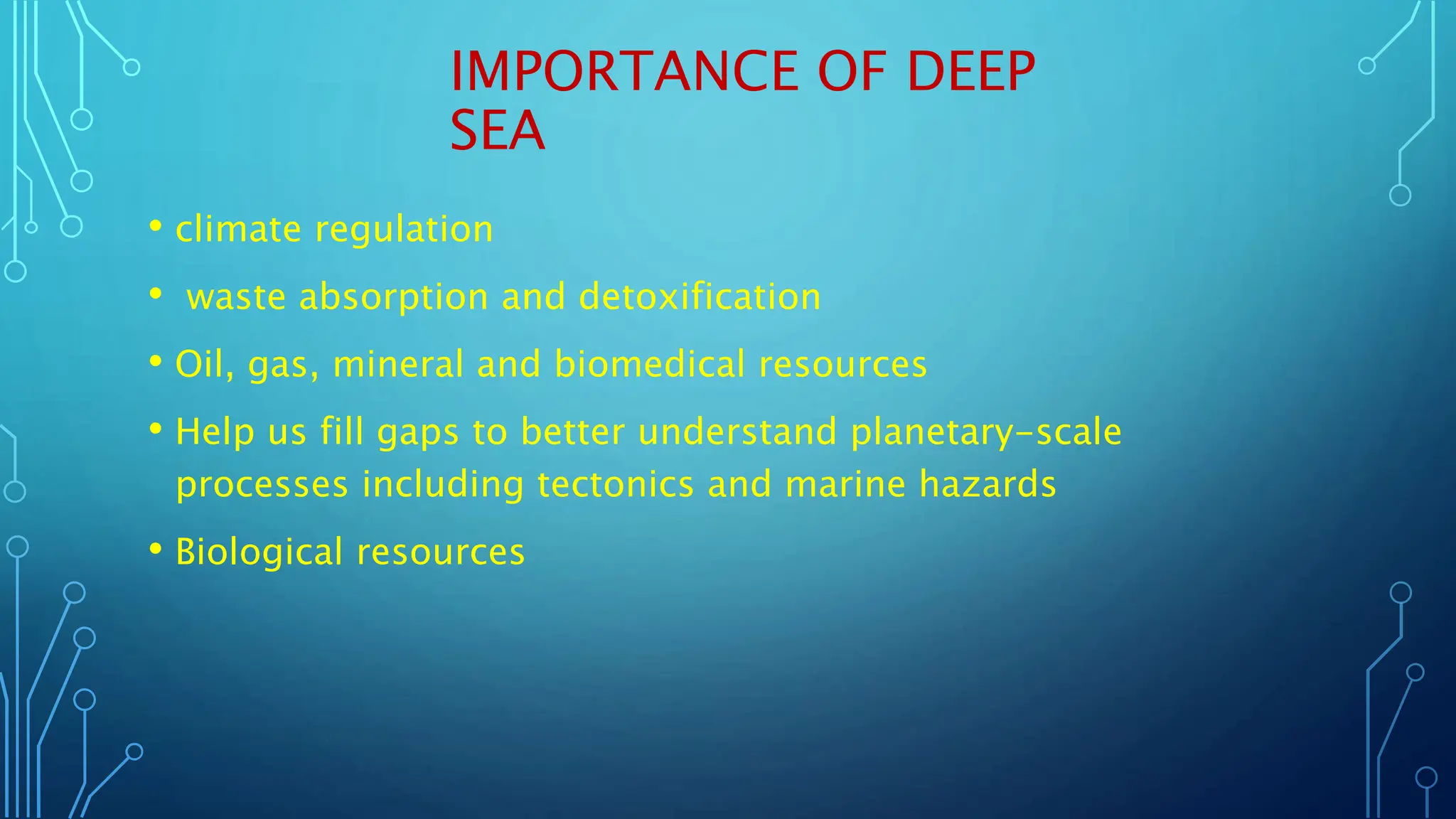 Unveiling the Depths: Exploring the Enigmatic World of Deep Sea Ecology ...