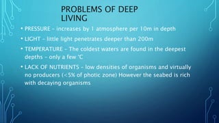 Unveiling the Depths: Exploring the Enigmatic World of Deep Sea Ecology ...