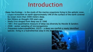 Unveiling the Depths: Exploring the Enigmatic World of Deep Sea Ecology ...