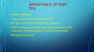 Unveiling the Depths: Exploring the Enigmatic World of Deep Sea Ecology ...