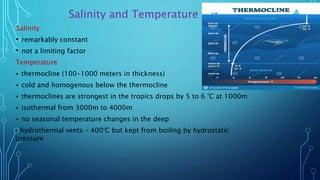Unveiling the Depths: Exploring the Enigmatic World of Deep Sea Ecology ...