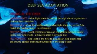 Unveiling the Depths: Exploring the Enigmatic World of Deep Sea Ecology ...