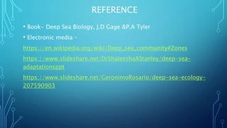 Unveiling the Depths: Exploring the Enigmatic World of Deep Sea Ecology ...