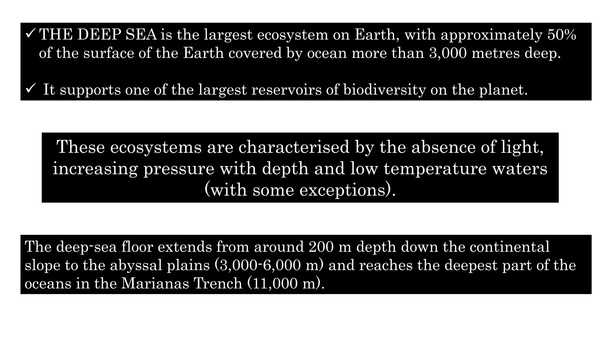Deep sea ecosystem | PPTX