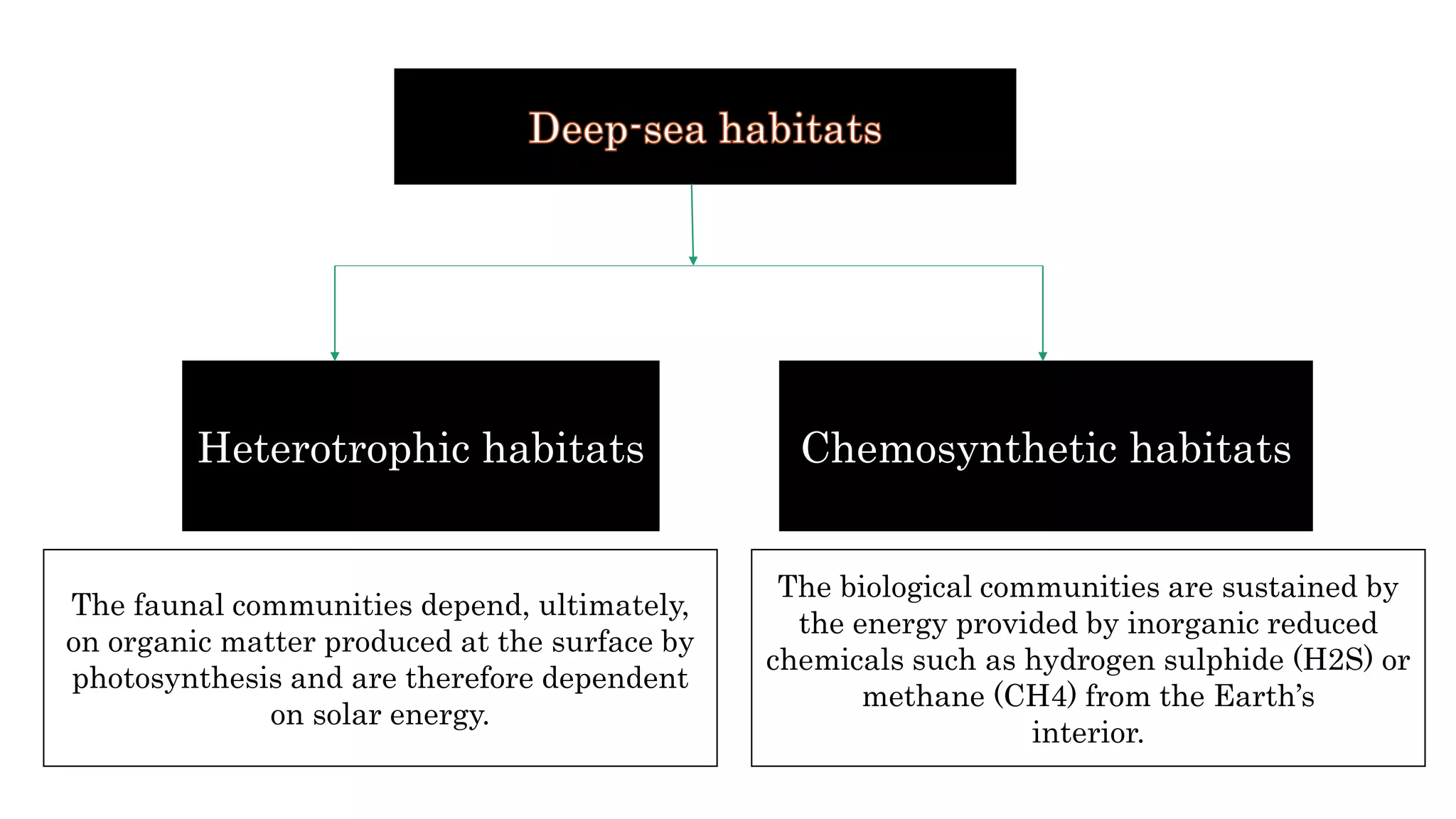 Deep sea ecosystem | PPTX
