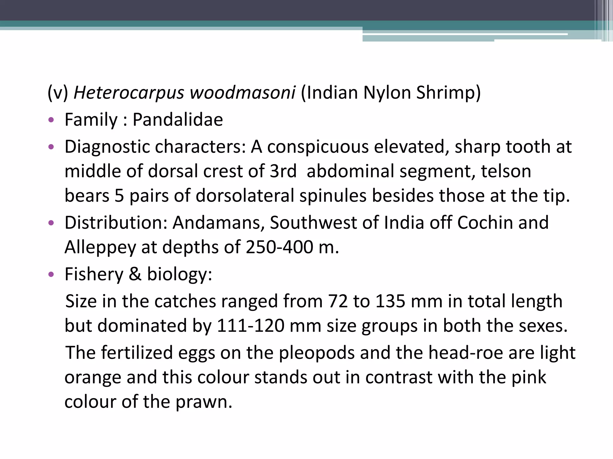 Deep sea fisheries | PPTX