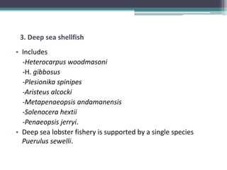 Deep sea fisheries | PPTX