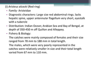 Deep sea fisheries | PPTX