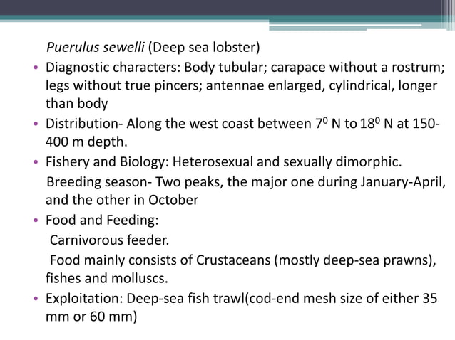 Deep sea fisheries | PPTX | Zoos & Aquariums | Attractions