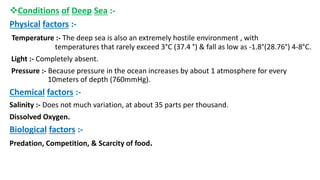 DEEP SEA FISHES(Girja Pd.Patel).pptx