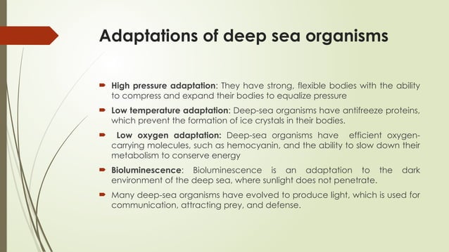 deep sea physiology for medical studenrs.pptx | Lung and Respiratory ...