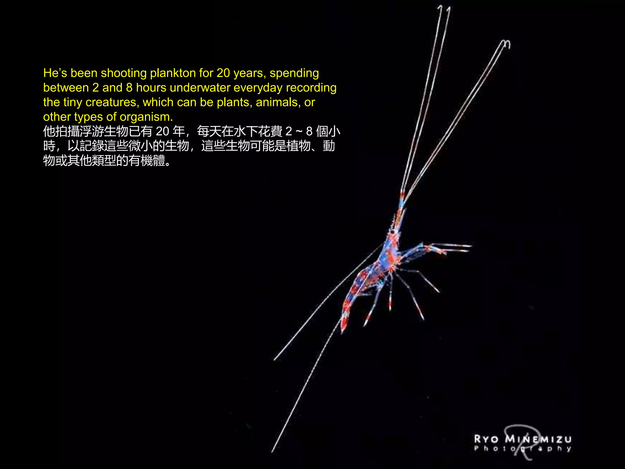 Deep sea plankton photos (深海浮游生物照片).ppsx