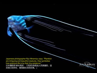 Deep sea plankton photos (深海浮游生物照片).ppsx