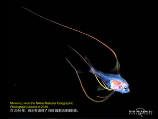 Deep sea plankton photos (深海浮游生物照片).ppsx