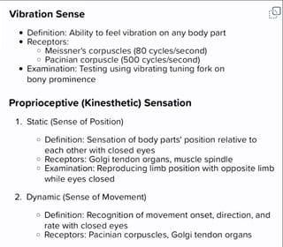 Deep sensation neurological anatomy 1.pdf