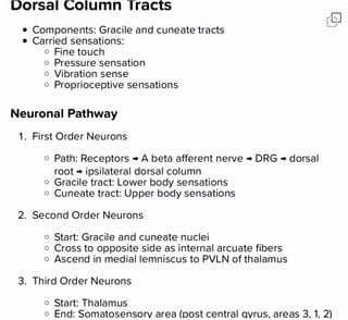 Deep sensation neurological anatomy 1.pdf
