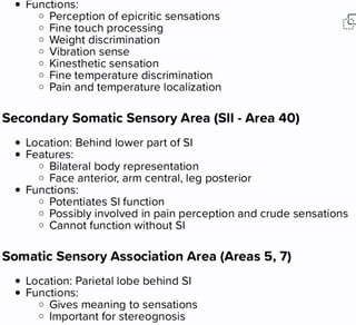 Deep sensation neurological anatomy 1.pdf